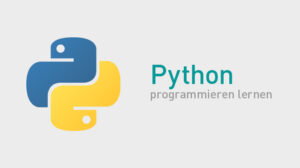 Python Programmieren lernen: Alle Infos zum Einstieg