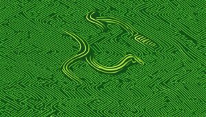 "match" in Python: Erklärung & Anwendung